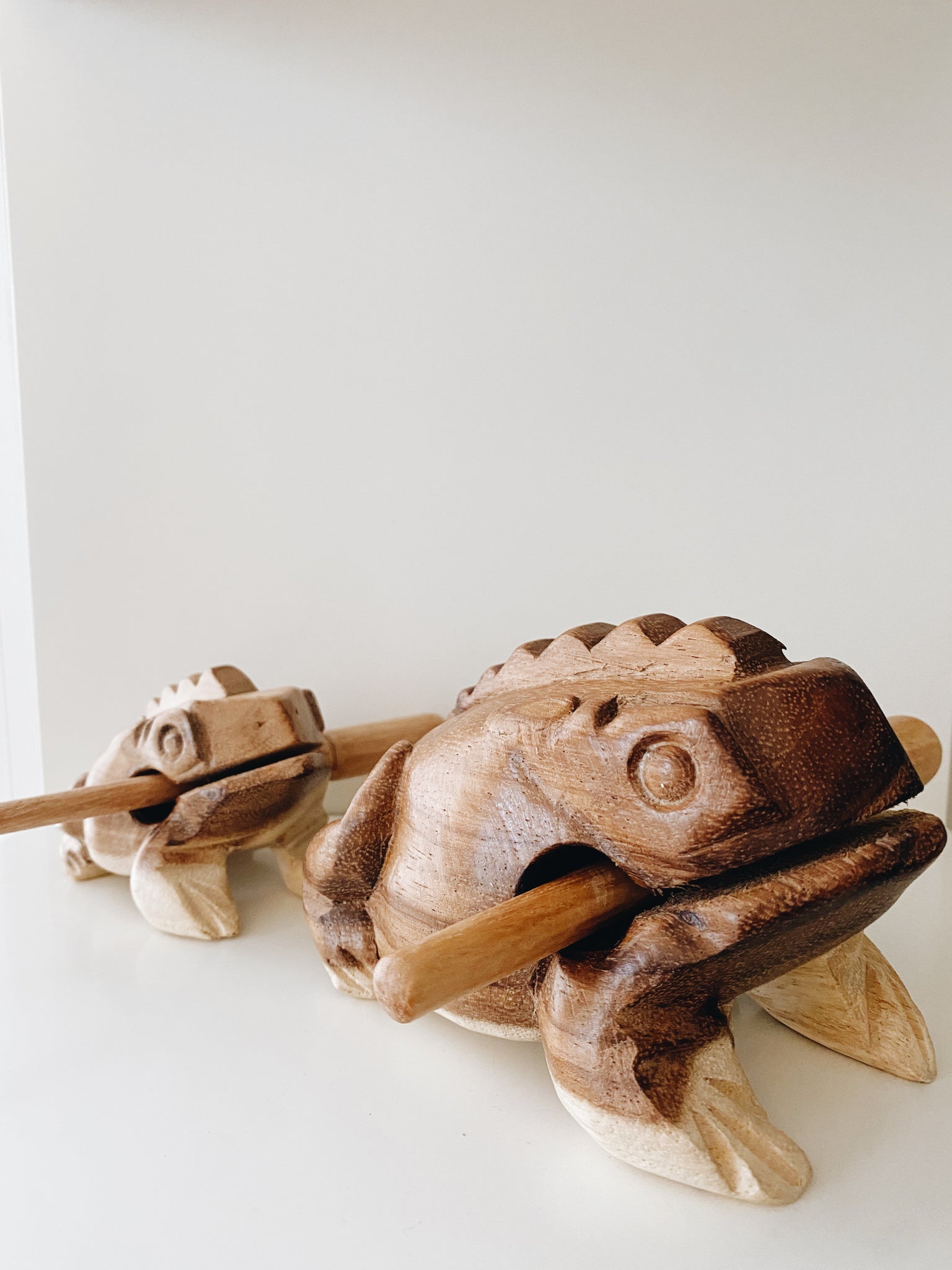 Croaking Frog Guiro - A musical instrument– Andnest