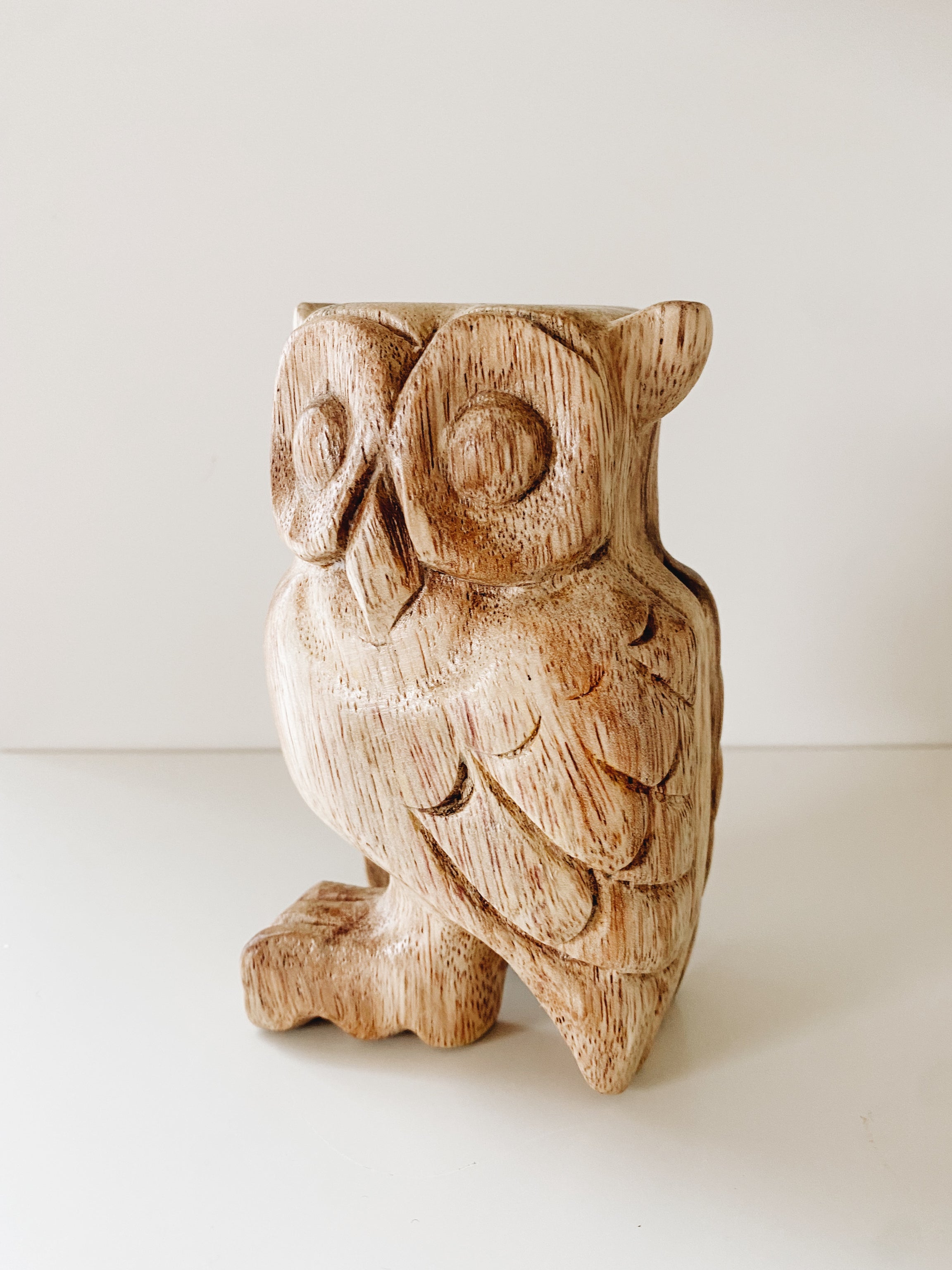 Hooting Owl– Andnest
